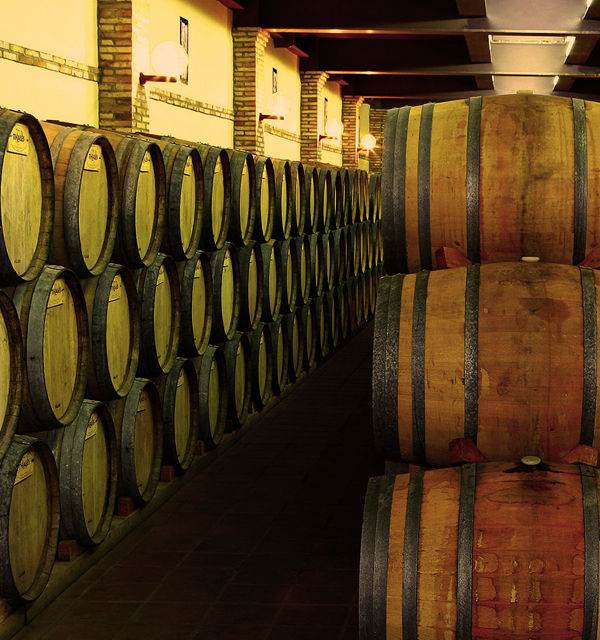 Wine Tourism Spain - Bodegas Real